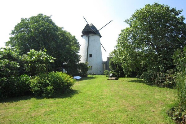 Cozy Holiday Home In Horebeke Near Meadow - Oudenaarde