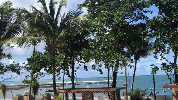 Área da piscina com vista para o oceano, rodeada por palmeiras e uma pérgula de madeira.