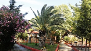 Jardim
