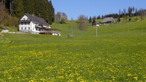 Um edifício branco com varanda, rodeado por um campo verde com flores amarelas, e uma floresta ao fundo.