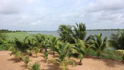 Waterfront Paradise Resort