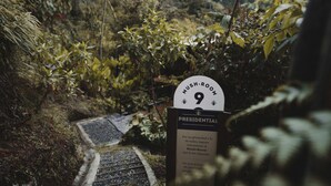Placa com a inscrição 'Mushroom Room 9' e aviso de privacidade.