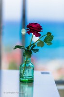Garrafa de vidro transparente com uma única rosa vermelha sobre uma superfície espelhada.