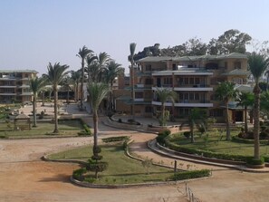 Jardim