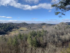 Secluded and Private Cabin with Amazing Views. Hot tub and WiFi. - Ashe ...