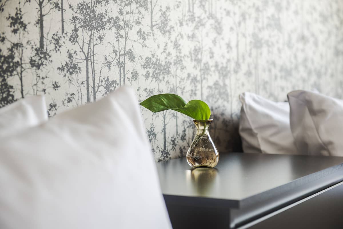 Um pequeno vaso de vidro com uma planta sobre uma superfície escura, possivelmente uma mesa ou escrivaninha, em frente a uma parede revestida de papel de parede com padrão floral.