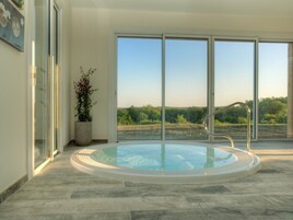 Uma área de spa com hidromassagem, uma planta em vaso e vista para o exterior.