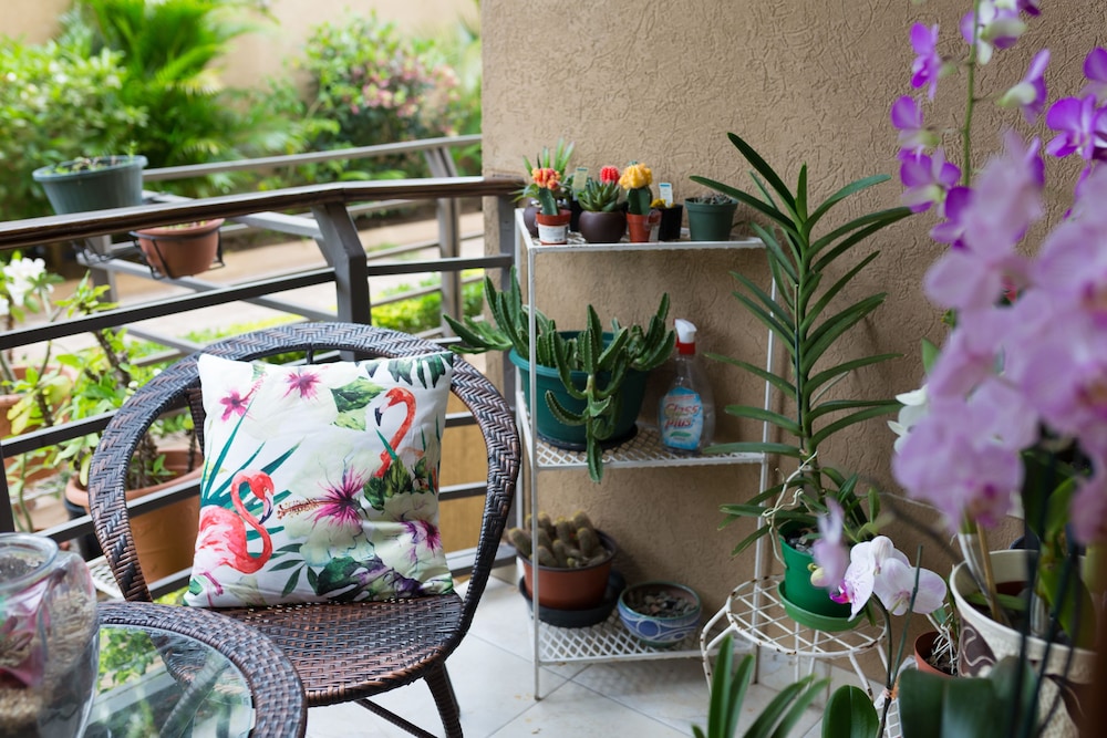 ニュー キングストン ゲスト アパートメント アット イングラテーラ Iii - ジャマイカ キングストン