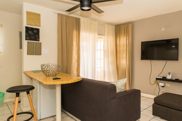 Kingston Most Centrally Located Two Bdrm - Kingston