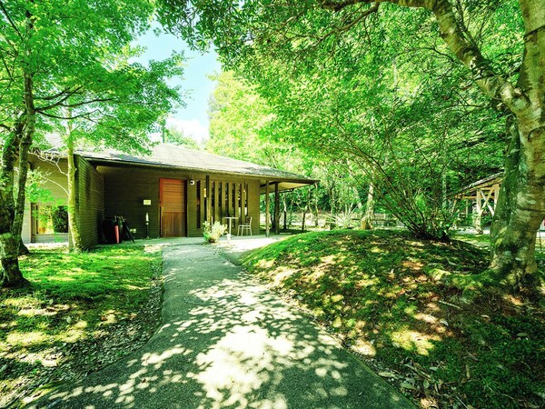 시키노모리 시비안 - 이즈미시