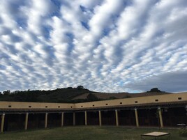 Um pátio com um edifício caracterizado por uma série de colunas e um telhado plano.