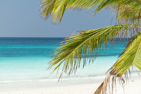 Uma praia privada, praia de areia branca, espreguiçadeiras