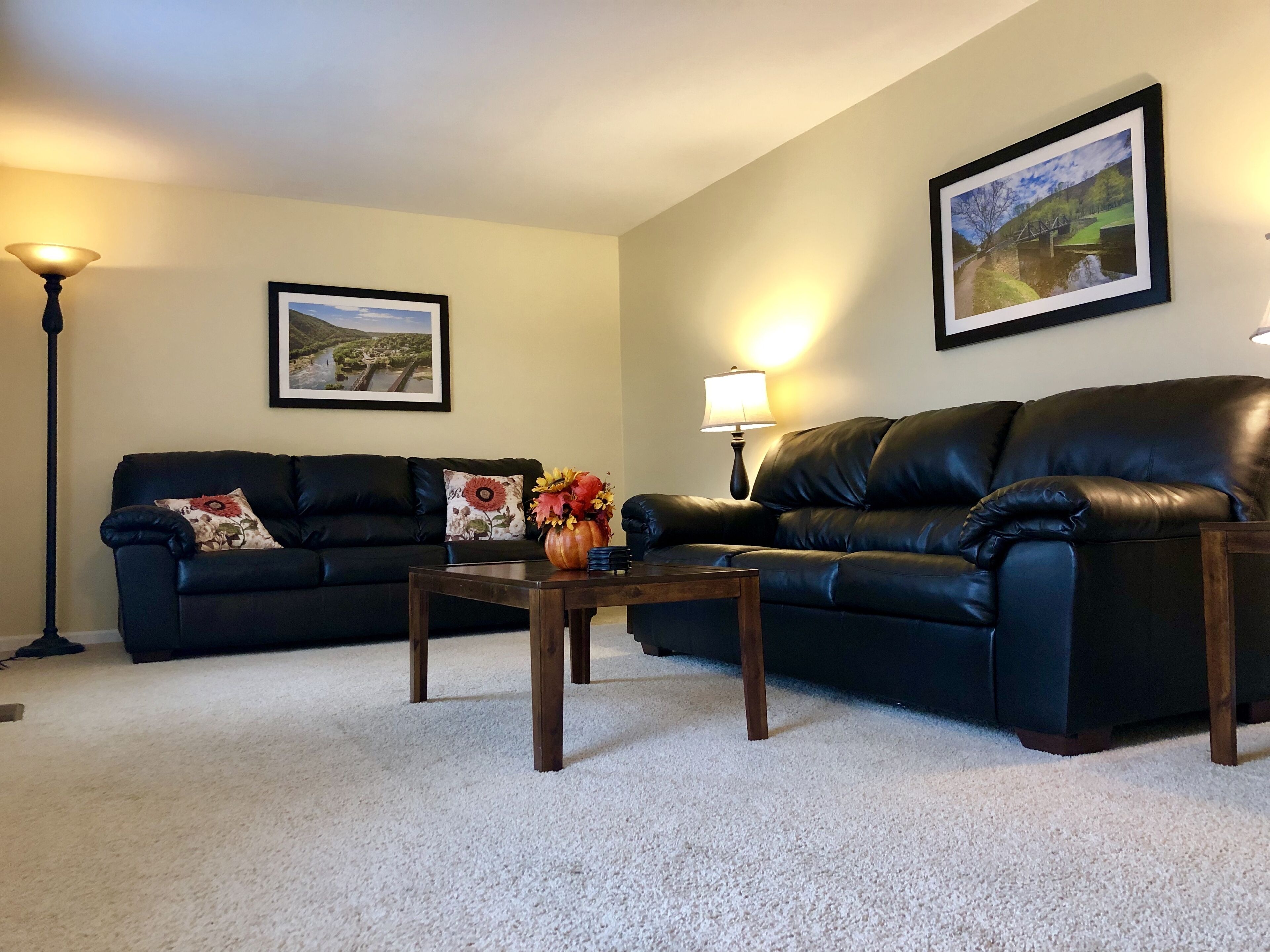 Large Groups, Hot Tub, Near Attractions, Wooded/country Setting W/aparment/annex - Harpers Ferry, WV