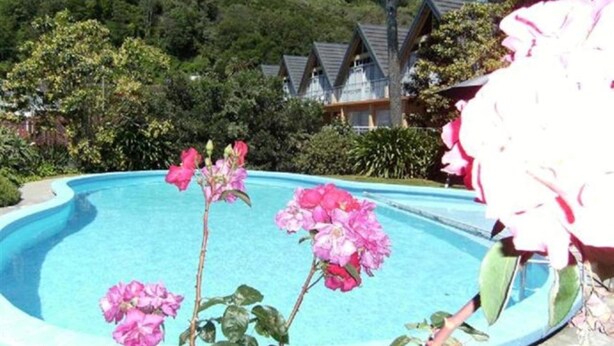 Piscina cercada por vegetação exuberante e uma casa com telhado inclinado.