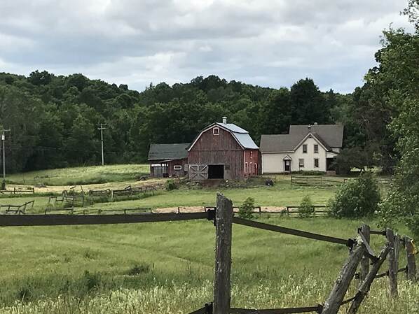 Newly Renovated “Cedar Ridge Farm" - a 250 yr old farm on 150 acres ...