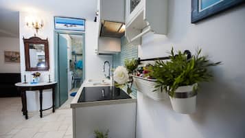 Apartamento Cidade | Cozinha privada | Um frigorífico, um forno, uma placa de cozinha