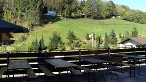 Uma área de piquenique com bancos e mesas, com vista para uma encosta gramada com árvores e um edifício ao fundo.