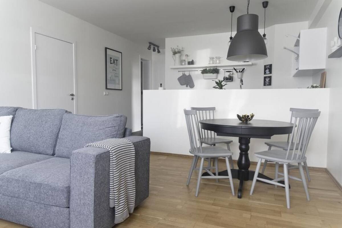 Apartamento, 1 quarto (Grundarstígur 11) | Cortinas/cortinados opacos, ferro/tábua de engomar, Wi-fi grátis