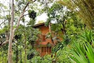 Um edifício rústico cercado por vegetação densa, com fachada de pedra e molduras de madeira nas janelas.