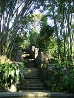 Uma escadaria de pedra rodeada por bambu e folhagem tropical.