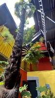 Terraço/pátio interior