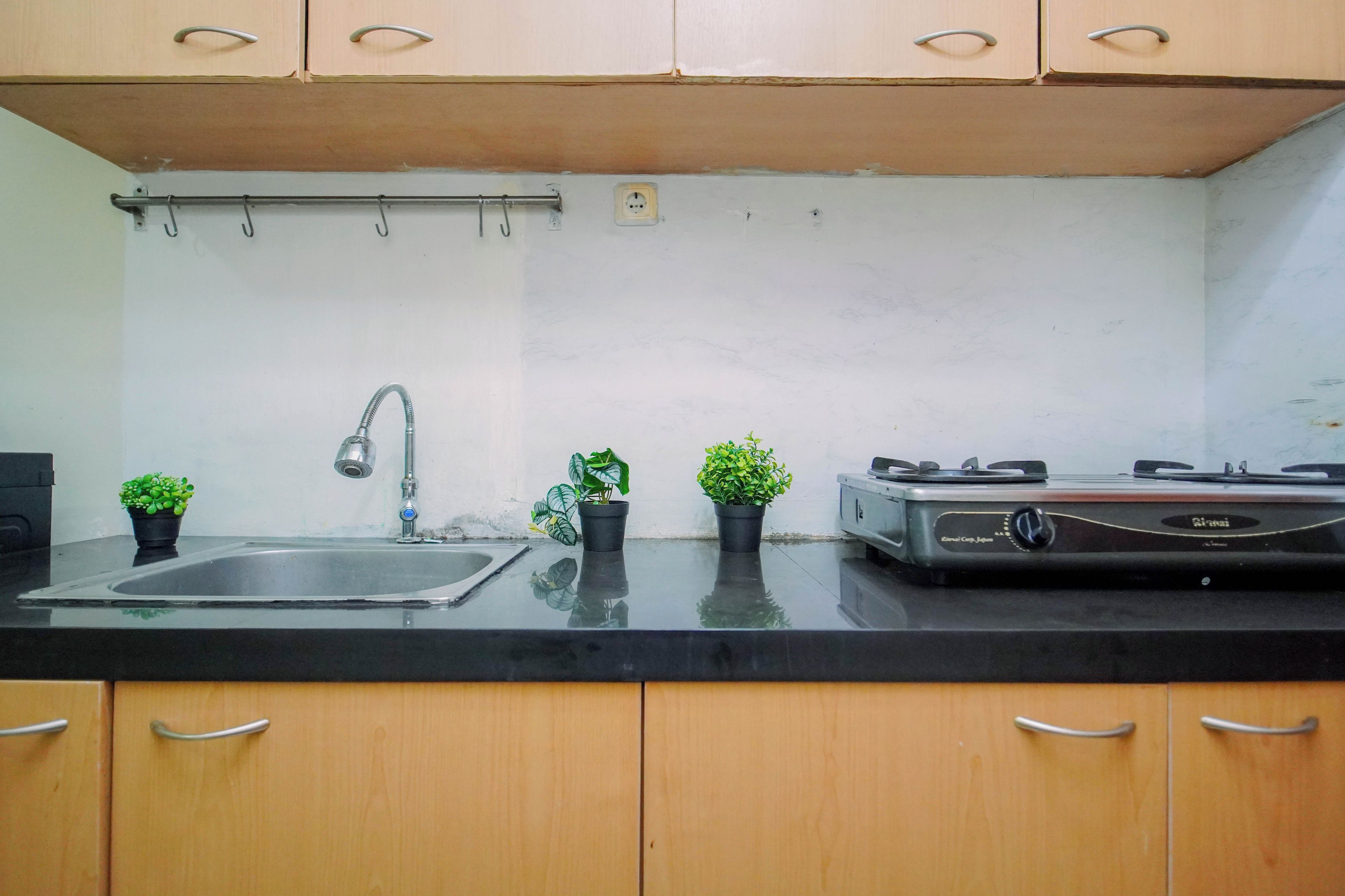 Cozinha com pia, torneira, duas plantas em vasos, fogão a gás e armários de madeira.