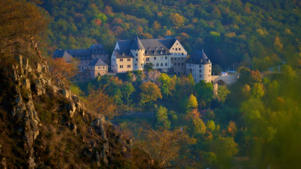 Um edifício grande e histórico com várias torres e aparência de castelo, rodeado por árvores de folhagem densa e cores outonais.