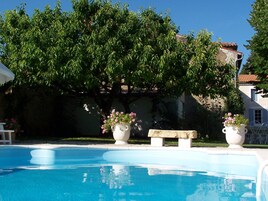 Piscina com um banco de pedra e plantas em vasos, cercada por vegetação exuberante e uma parede de pedra.