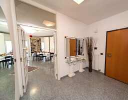 Um corredor com área de jantar, um espelho e um vaso com plantas altas.