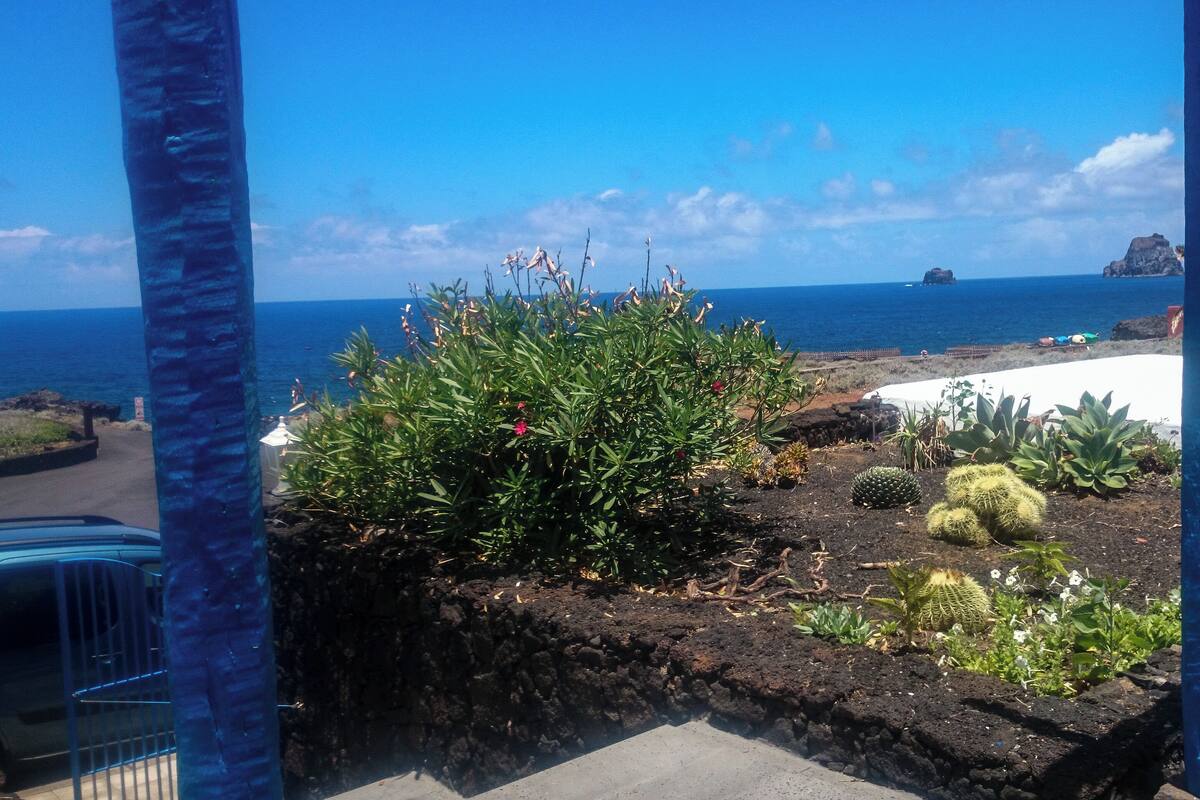 Um jardim com várias plantas e vista para o oceano.
