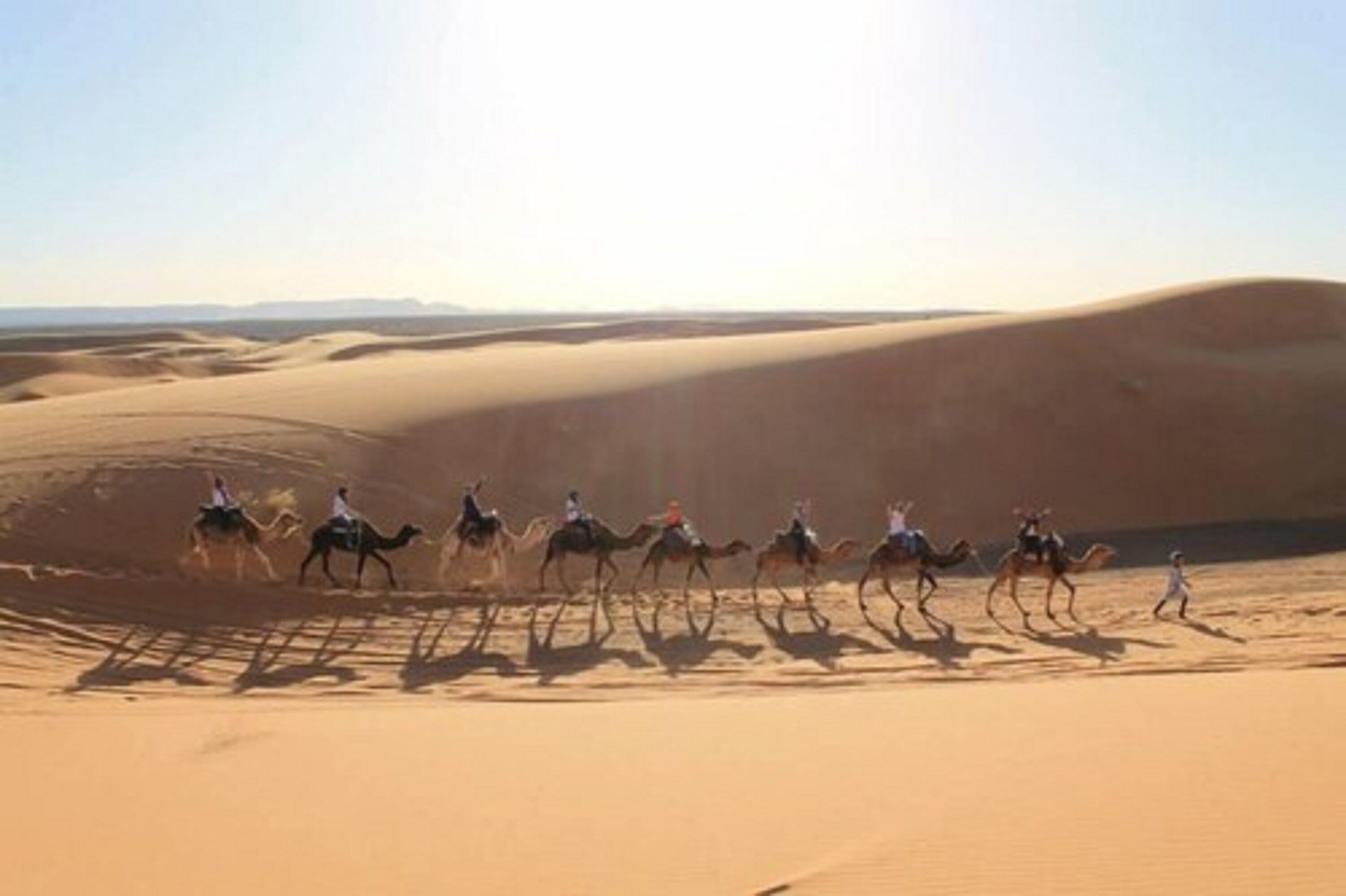 Um grupo de pessoas a cavalgrar camelos por uma paisagem desértica com dunas de areia.