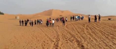 Um grupo de pessoas caminhando em um deserto com dunas de areia ao fundo.