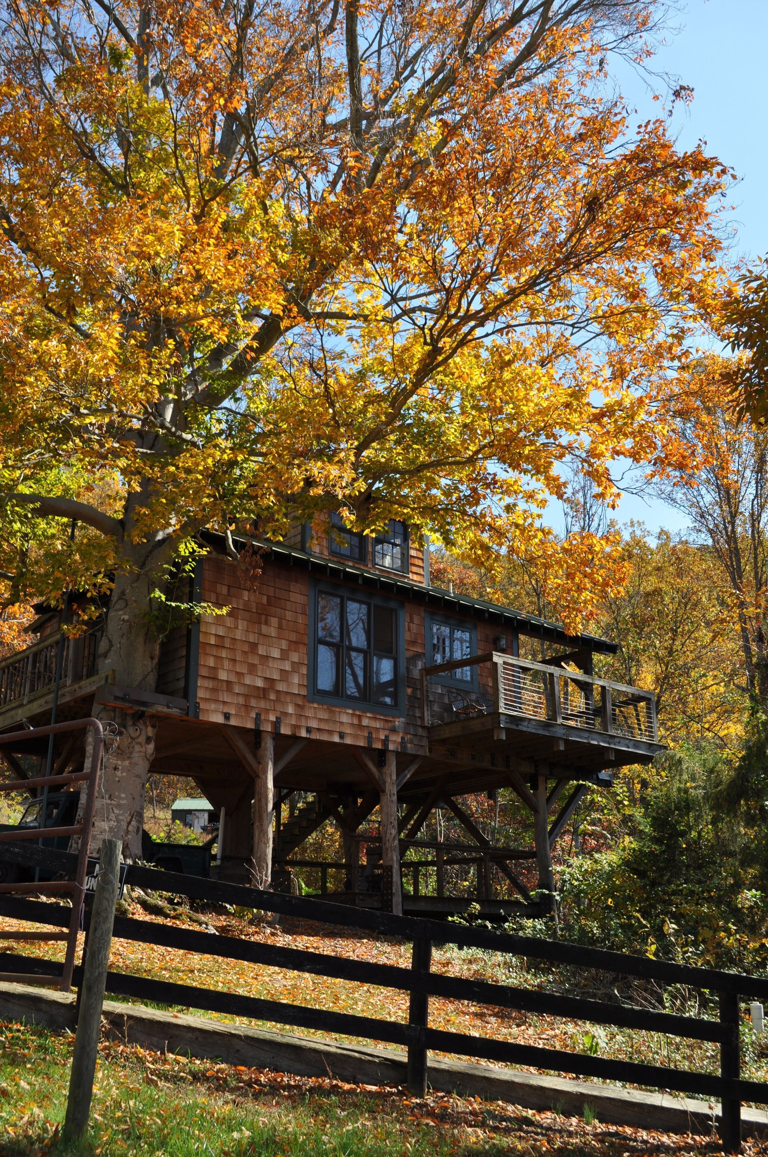 18 Best Treehouse Hotels And Vacation Rentals In Virginia, USA | Trip101