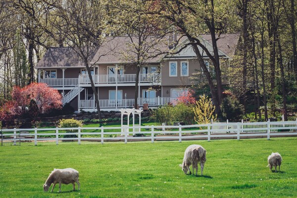 The Speckled Hen Inn B&b - Madison, WI