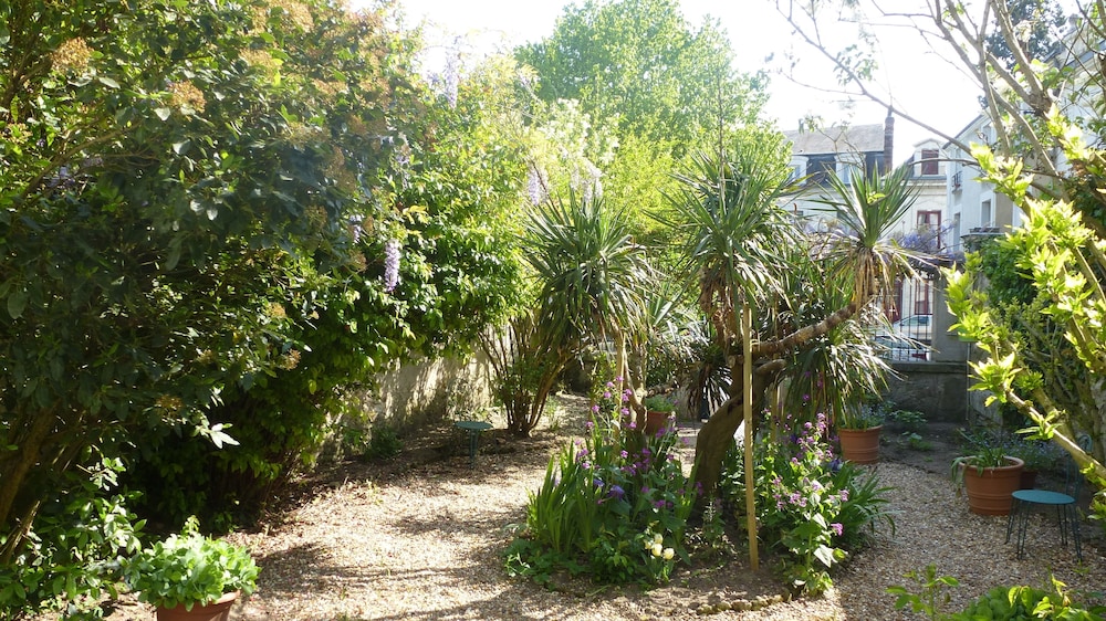 La Petite Vigne - Amboise