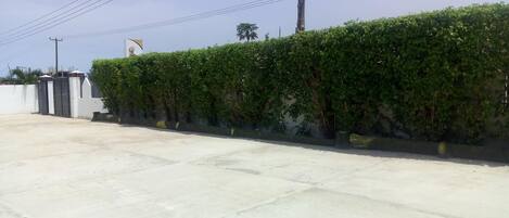 Uma área pavimentada com um sebe e uma parede branca.