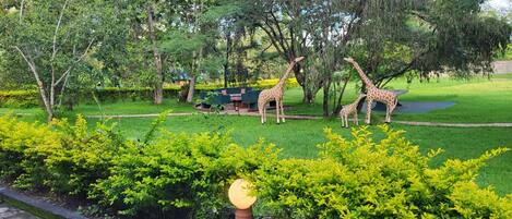 Área da propriedade