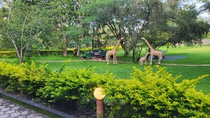 Terrenos do alojamento