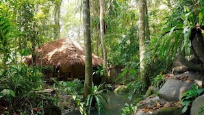 Uma cabana com telhado de palha rodeada por floresta densa e um pequeno lago.