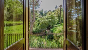 Vista de uma varanda com guarda-corpo de metal, com vista para um jardim exuberante com diversas árvores e arbustos.