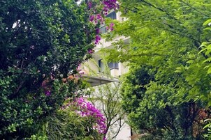 Um jardim exuberante com folhagem densa e flores roxas, que leva a um edifício com várias varandas.