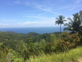 Vista para a montanha