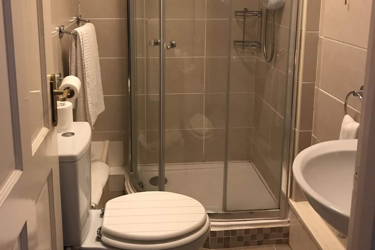 Casa de banho com chuveiro envolto em vidro, sanita e lavatório.