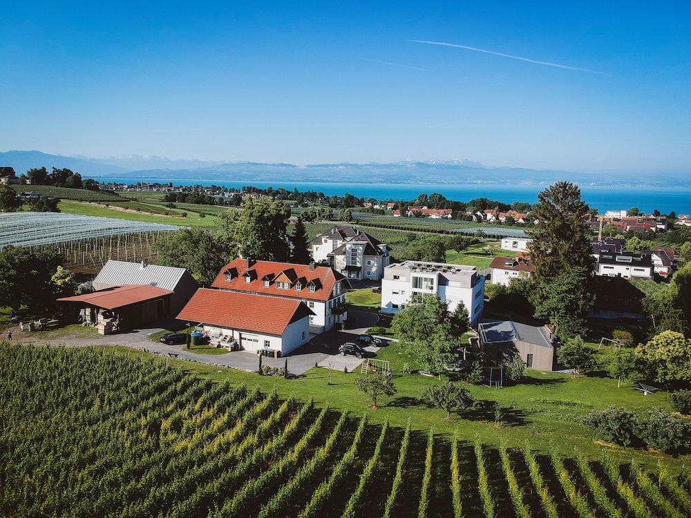 Neues, Freistehendes Ferienhaus Aus Holz Im Weinberg, Terrasse, Kostenloses Wlan - Langenargen
