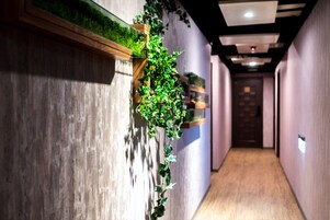 Um corredor com piso de madeira, um vaso fixado na parede com plantas verdes e uma porta no final.