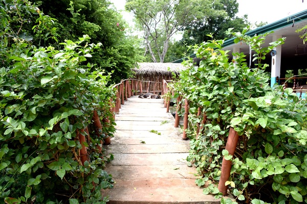Terraço/pátio interior
