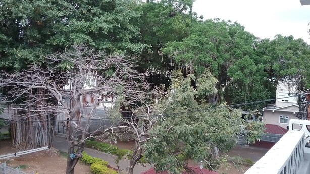 Vista de uma área residencial com árvores, uma construção com telhado vermelho e uma cerca branca.