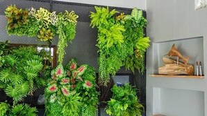 Quarto com escada de metal preto, piso de madeira e um painel de plantas na parede.