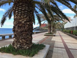Perto da praia, praia de areia negra 