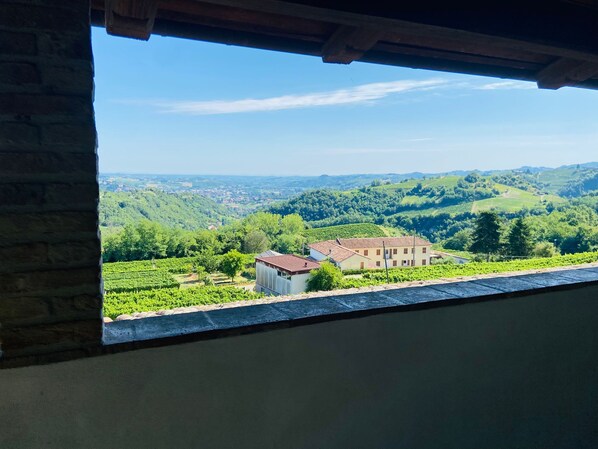Vista da janela sobre um vinhedo e um edifício com telhado de telhas vermelhas.